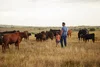 Sick Calves? We can help. FarmatanUSA—Imogene Ingredients — Imogene ...