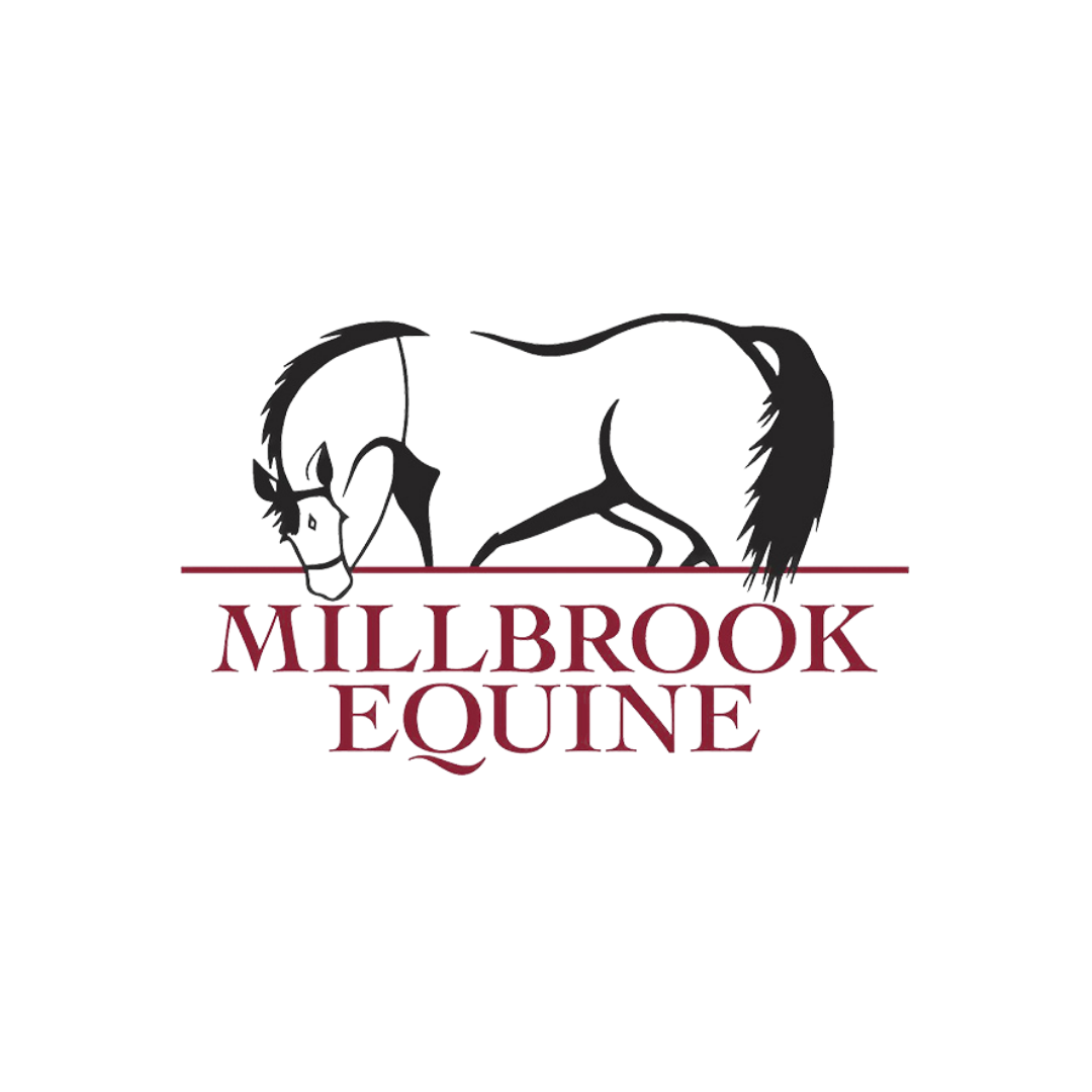 Equine Veterinary Logo