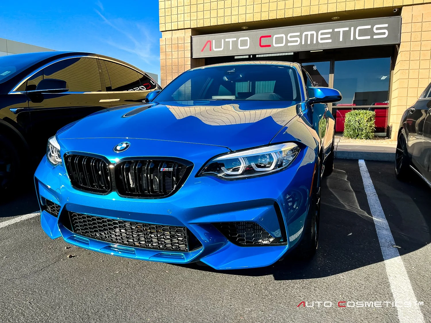 XPEL Paint Protection Film | Certified Clear Bra Installer — Auto ...