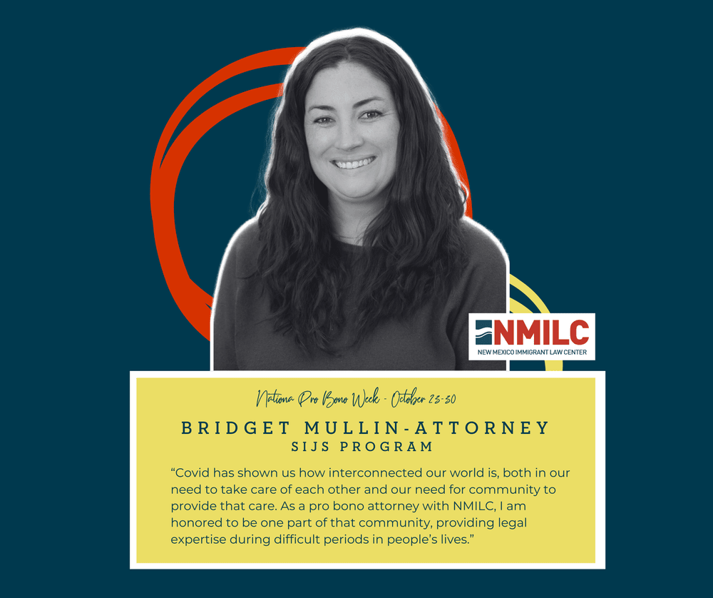 National Pro Bono Week 2021 — NMILC