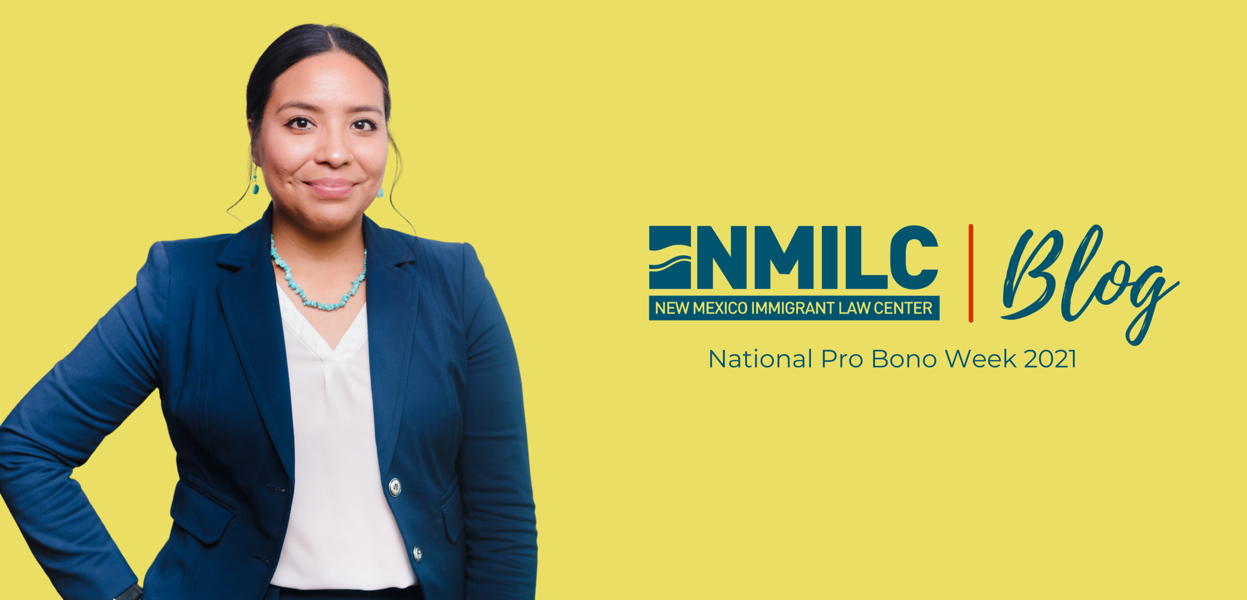 National Pro Bono Week 2021 — NMILC
