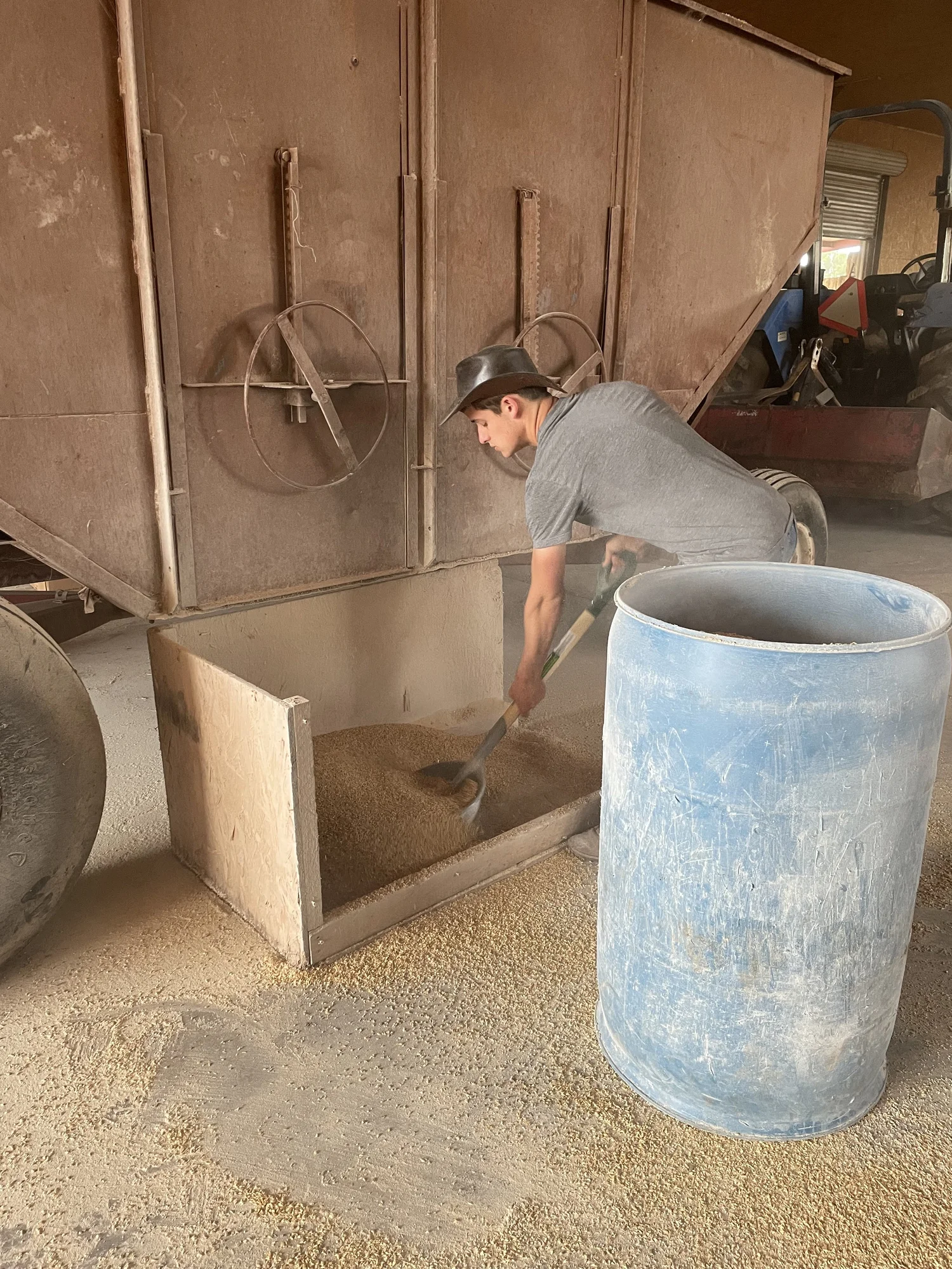 Golden Rule Dairy