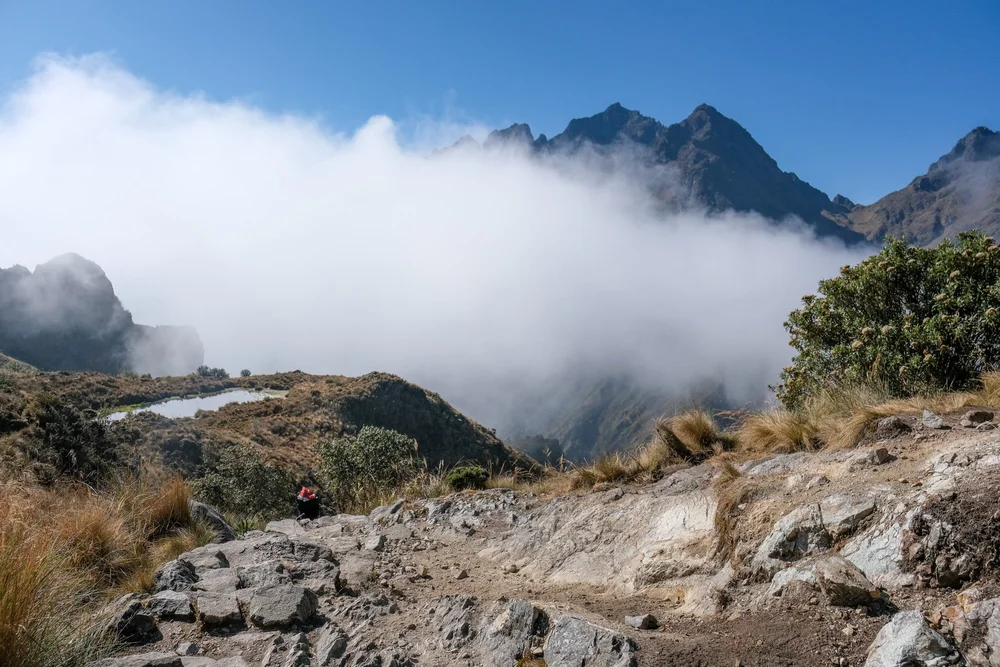 Inca Trail: Day 4 - Pacaymayo - Puyupatamarca — Tuljak! Travel Blog