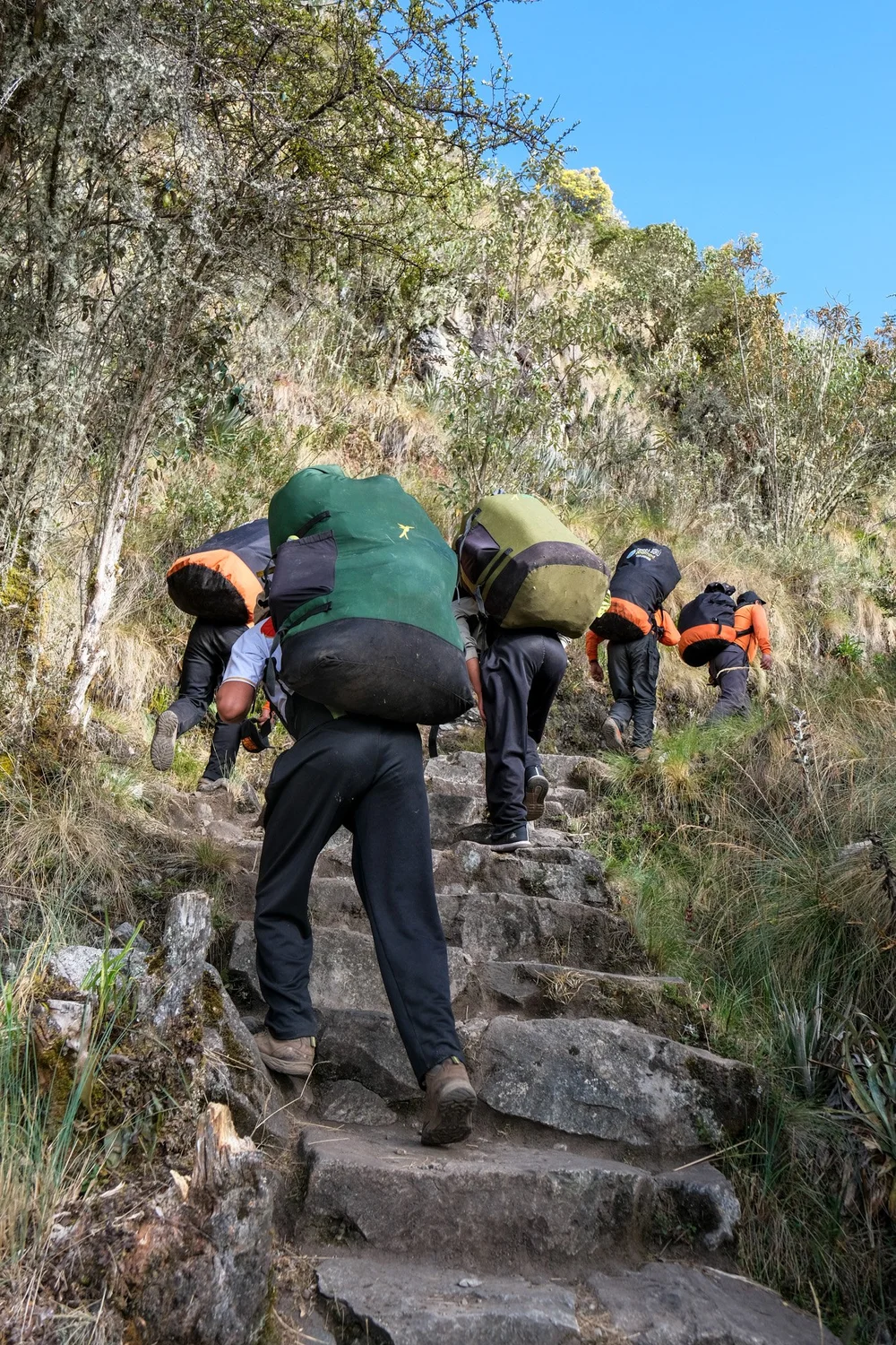 Inca Trail: Day 4 - Pacaymayo - Puyupatamarca — Tuljak! Travel Blog