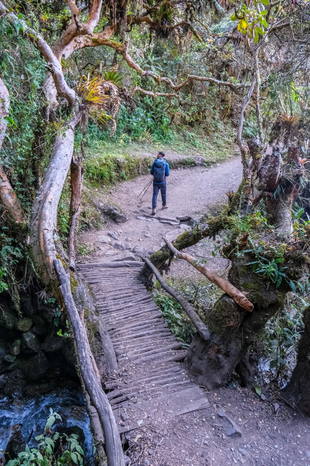 Inca Trail: Day 3 - Huayllabamba - Pacaymayo — Tuljak! Travel Blog