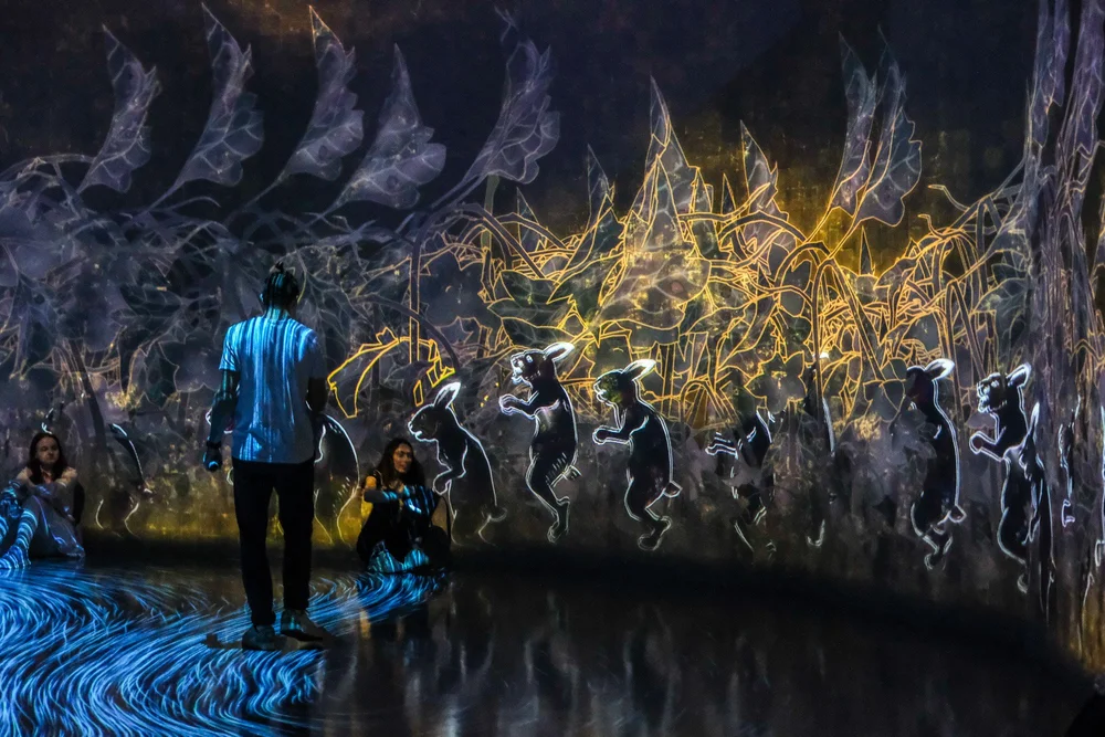Dreaming At TeamLab Borderless — Tuljak! Travel Blog