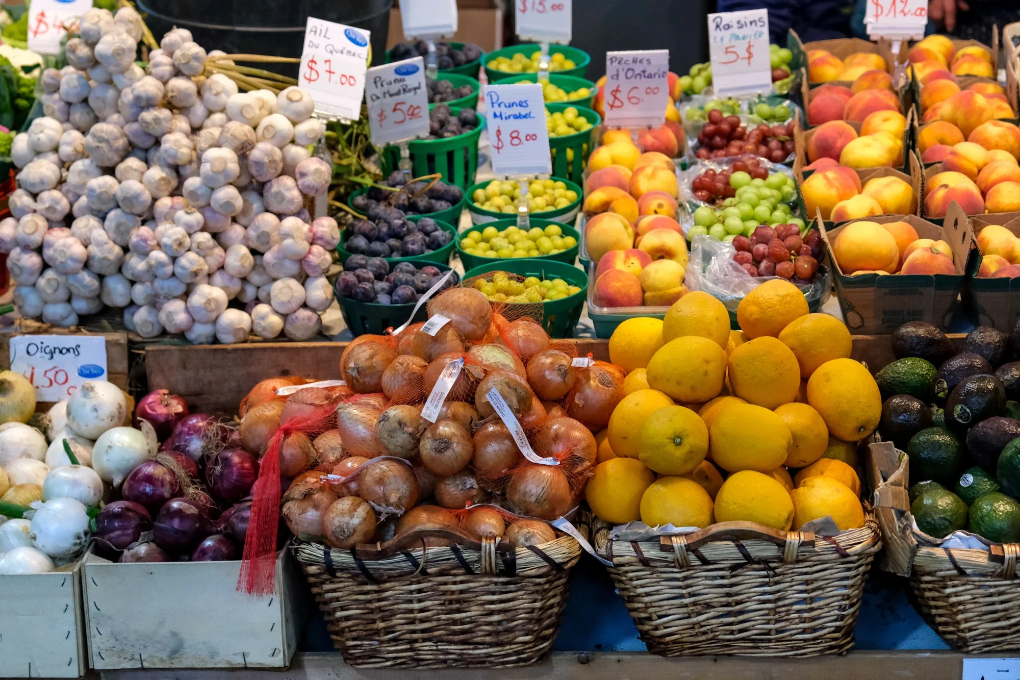 Montreal Itinerary - Summer 2024 — Tuljak! Travel Blog