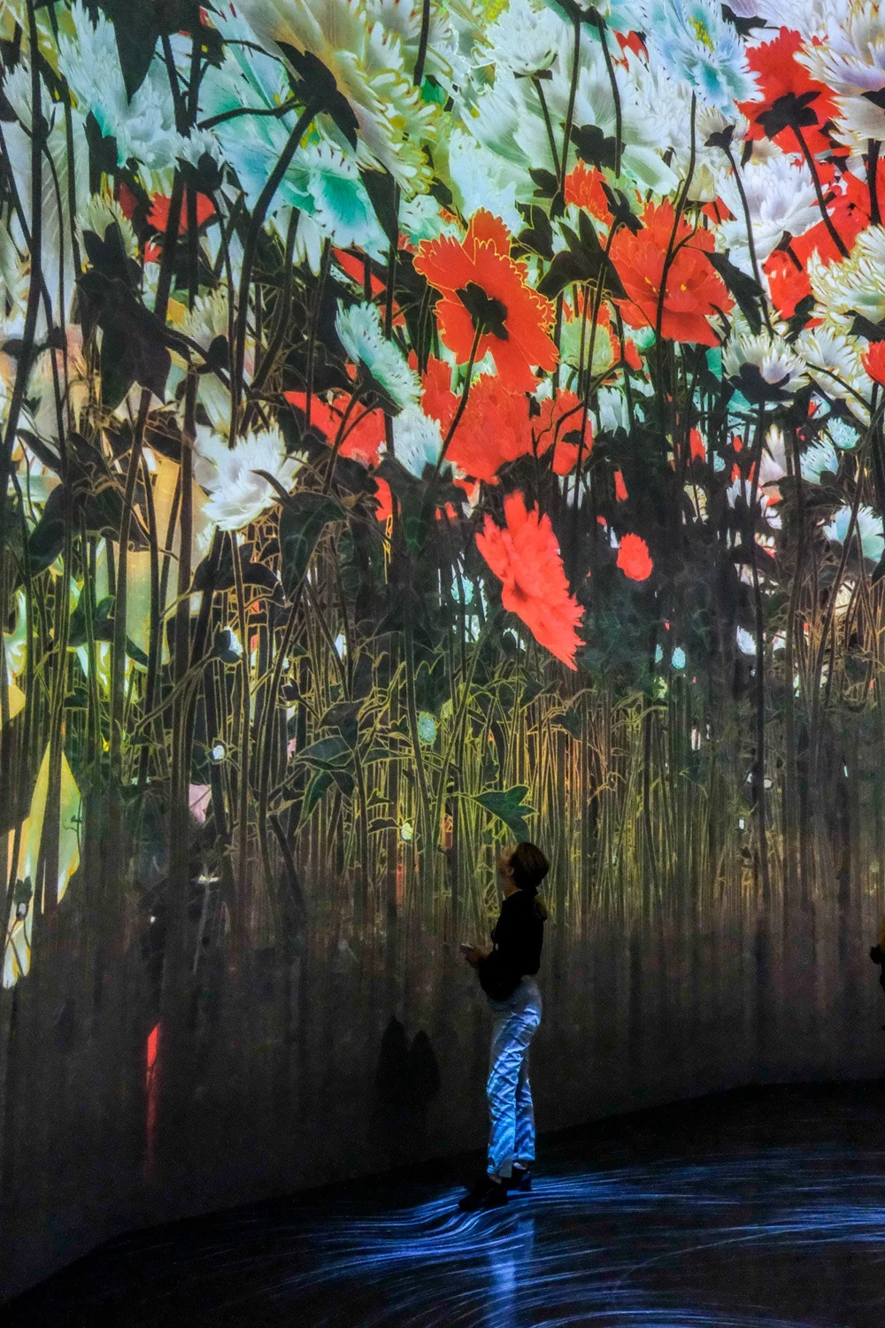 Dreaming At TeamLab Borderless — Tuljak! Travel Blog