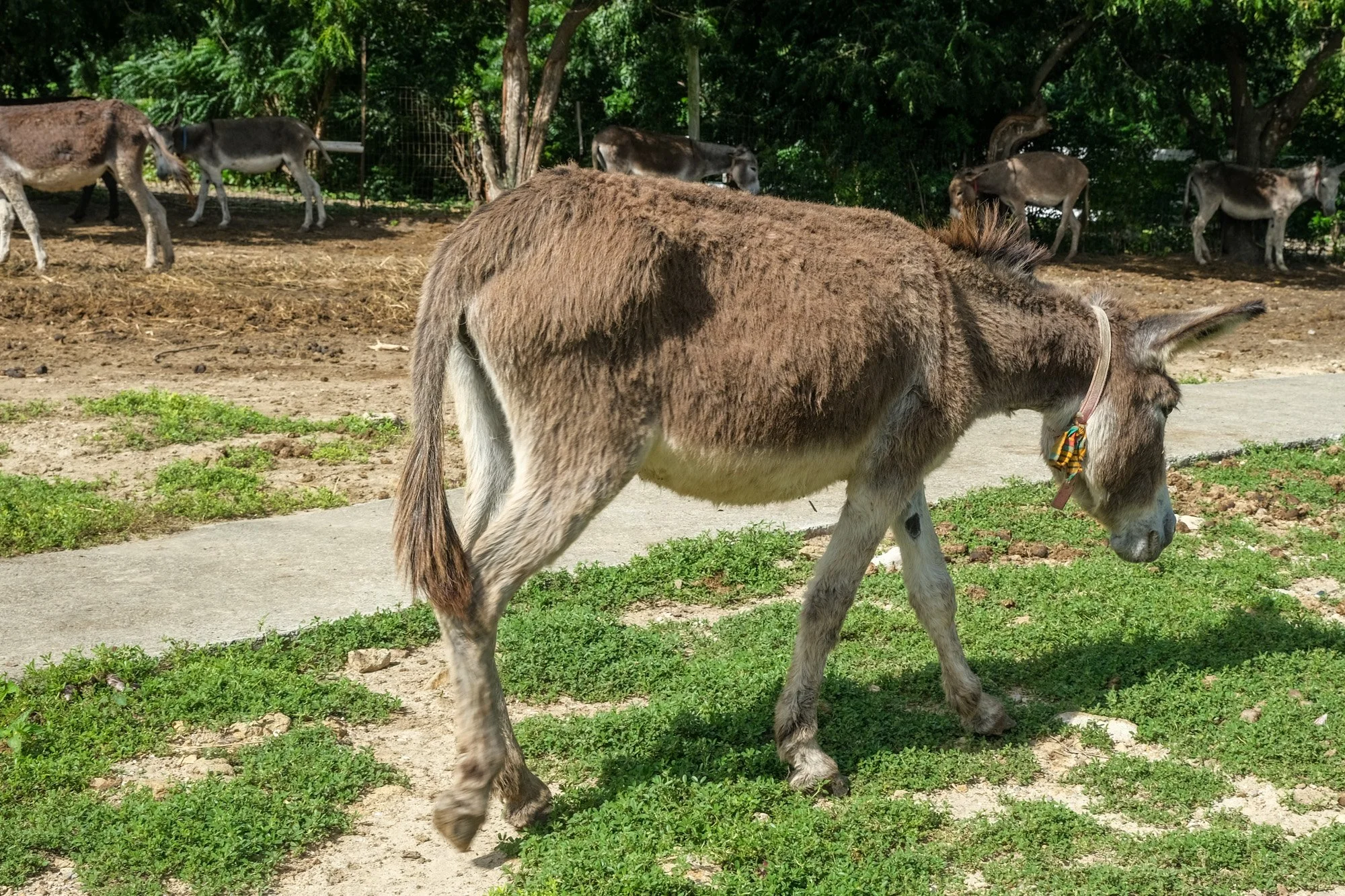 Destination Profile - Antigua & Barbuda — Tuljak! Travel Blog