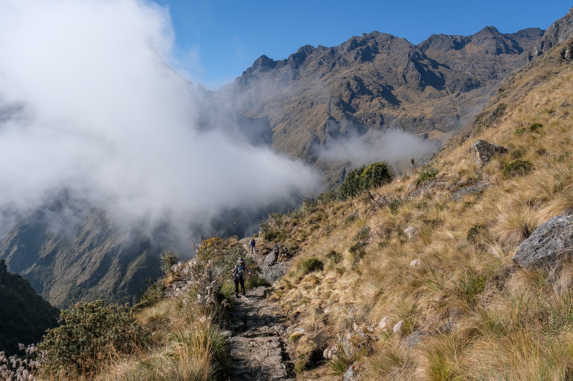 Inca Trail: Day 4 - Pacaymayo - Puyupatamarca — Tuljak! Travel Blog