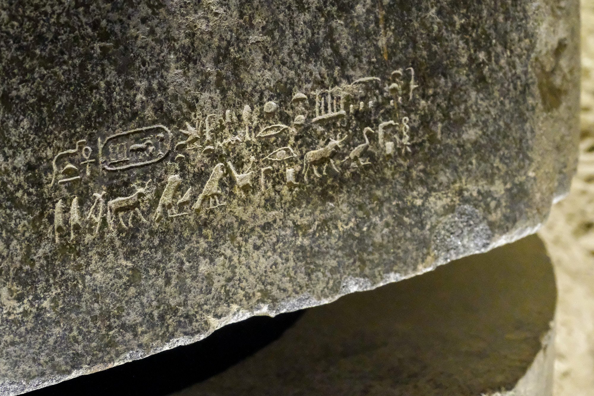 Did You Say Serapeum? — Tuljak! Travel Blog
