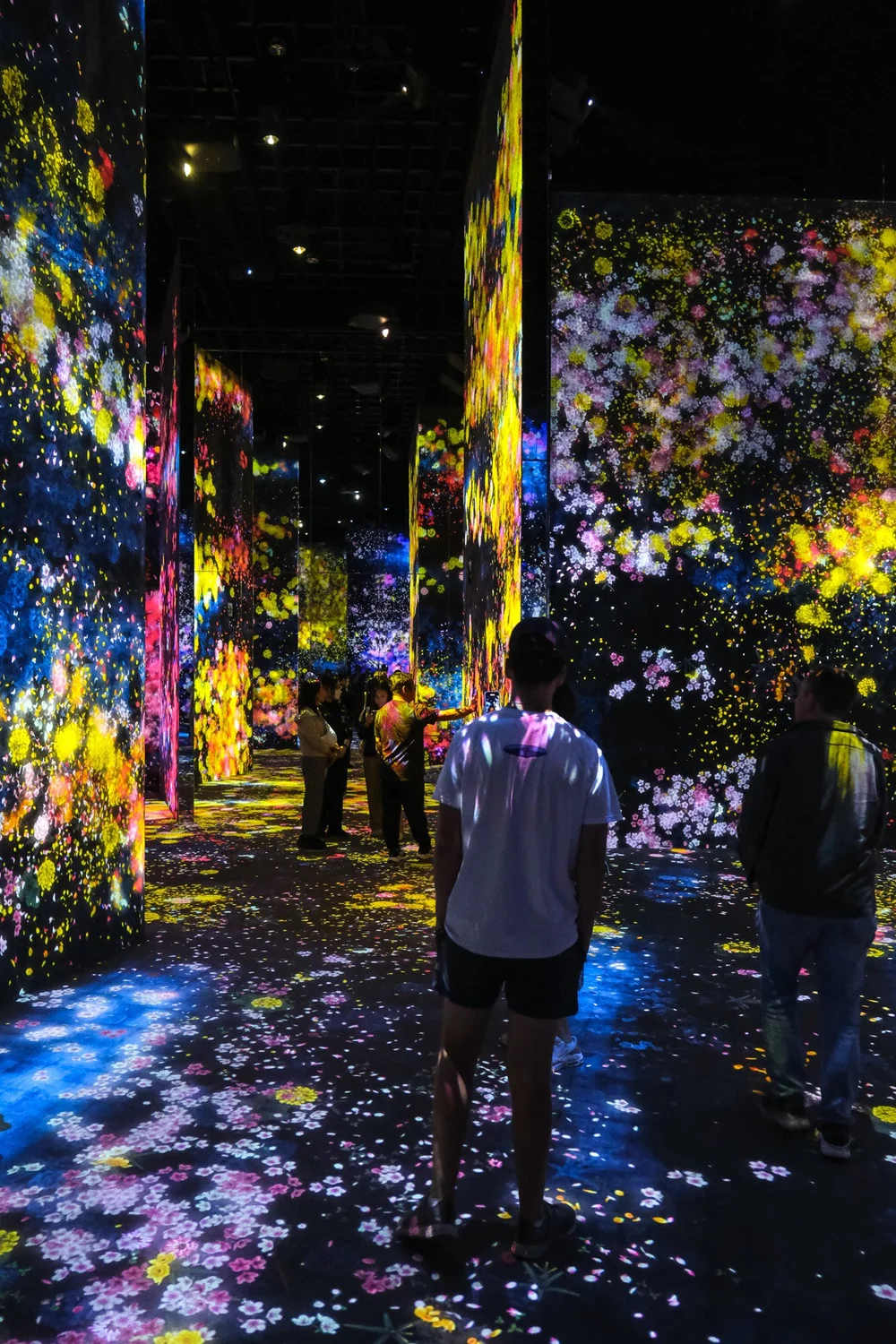 Dreaming At TeamLab Borderless — Tuljak! Travel Blog
