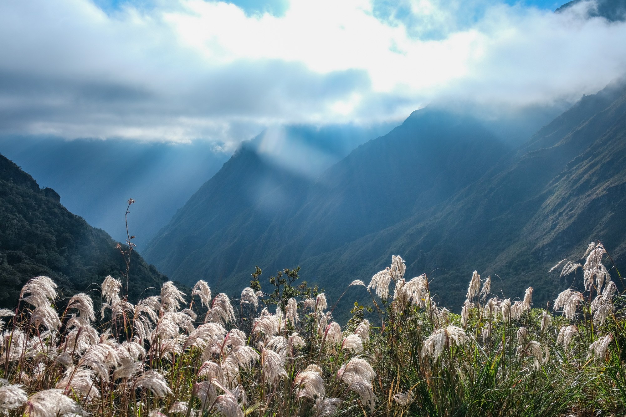 Inca Trail: Day 4 - Pacaymayo - Puyupatamarca — Tuljak! Travel Blog