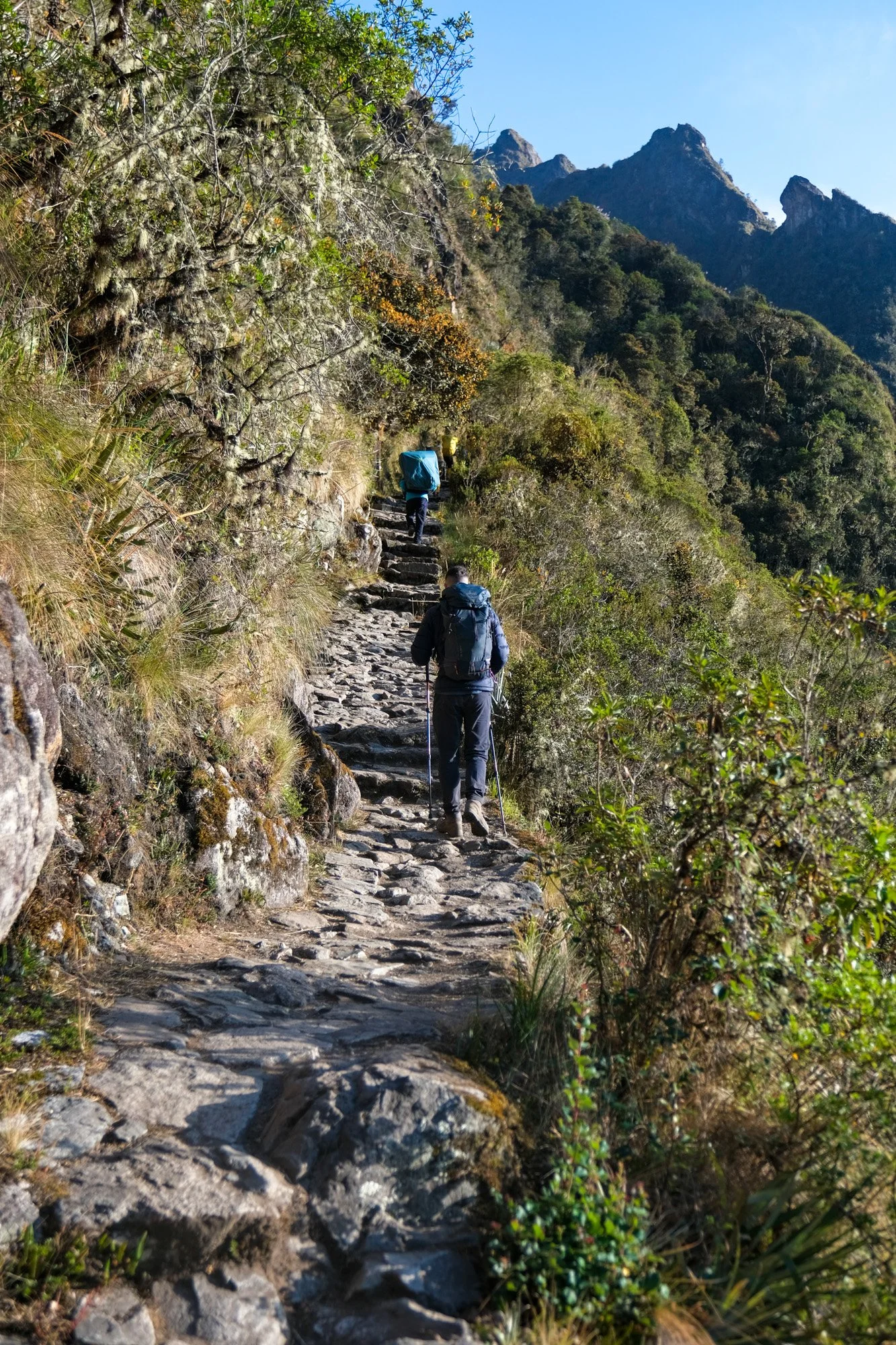 Inca Trail: Day 4 - Pacaymayo - Puyupatamarca — Tuljak! Travel Blog