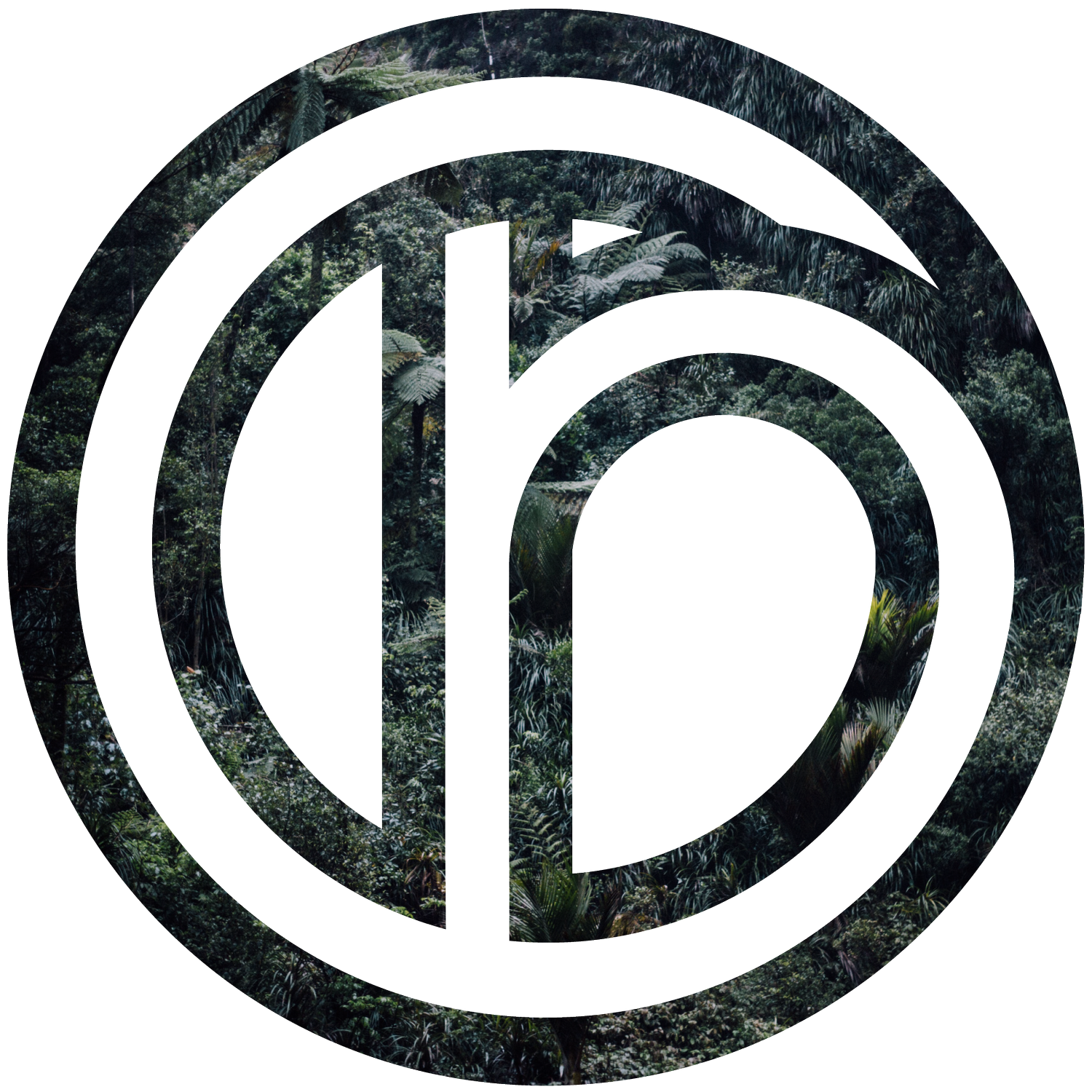 Rata Forest Management