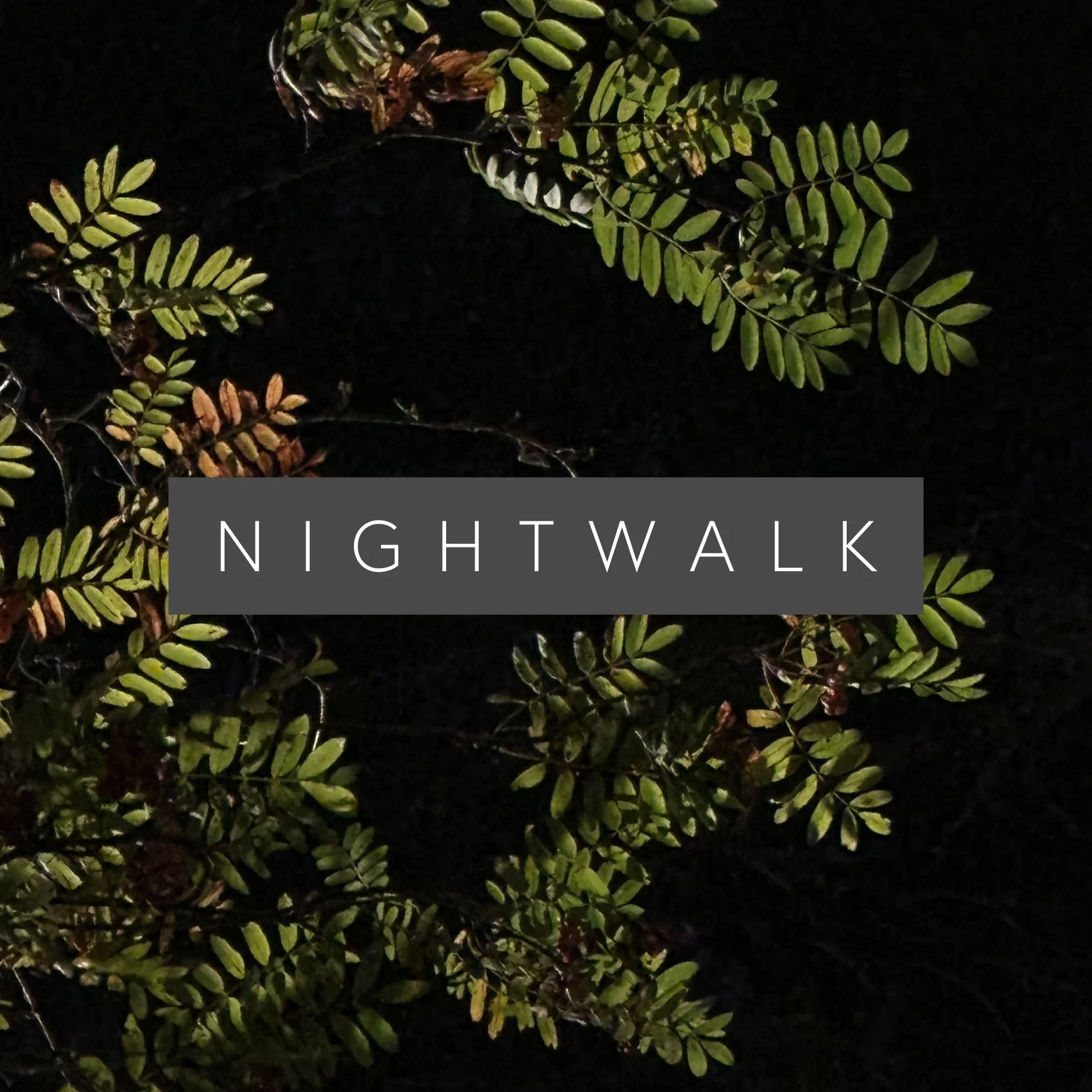 TONN EDITS 012: INDRID COLD — TONN Recordings