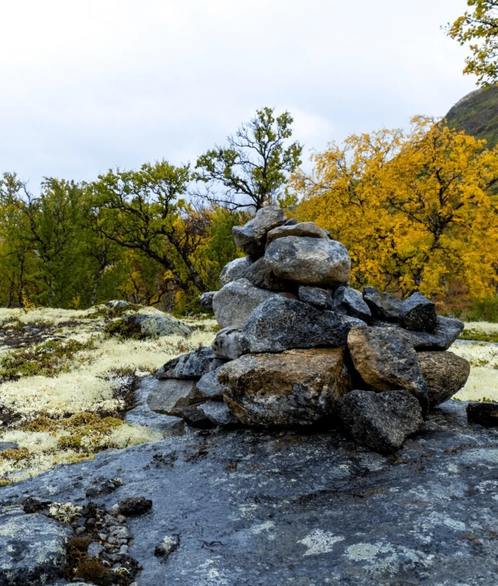 Experience Dovrefjell Norway » Traditional cuisine — Dovregubbens Hall