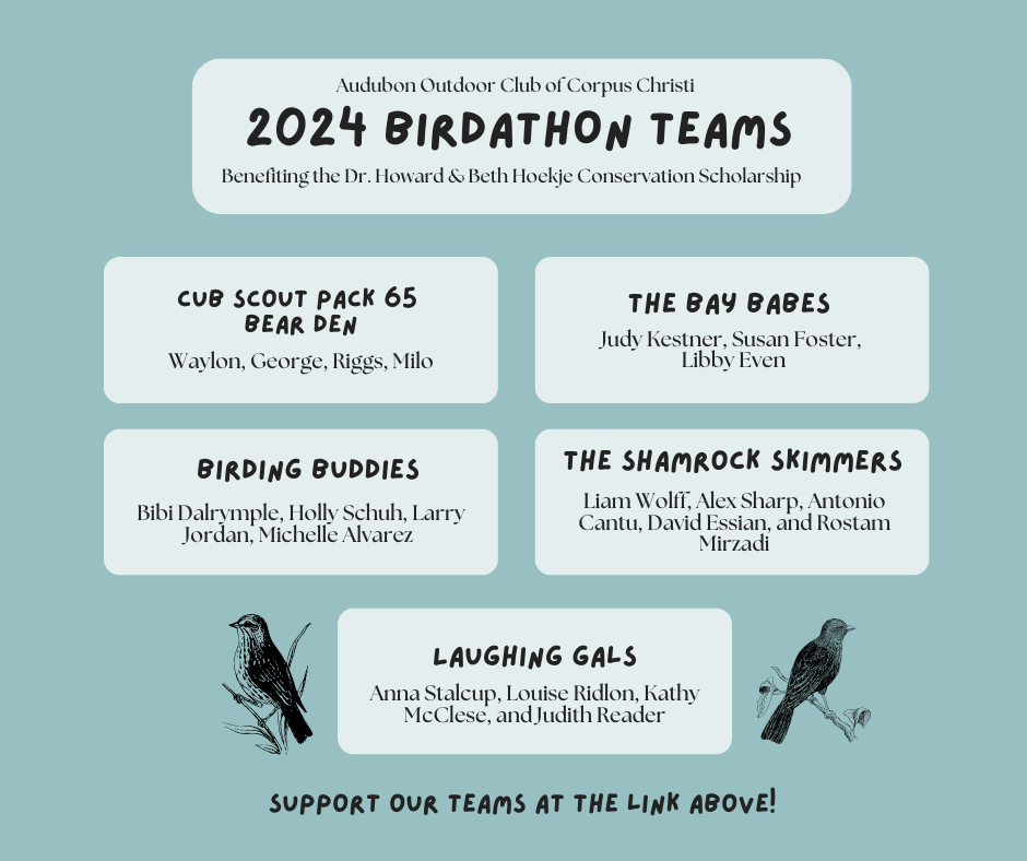 Audubon Outdoor Club