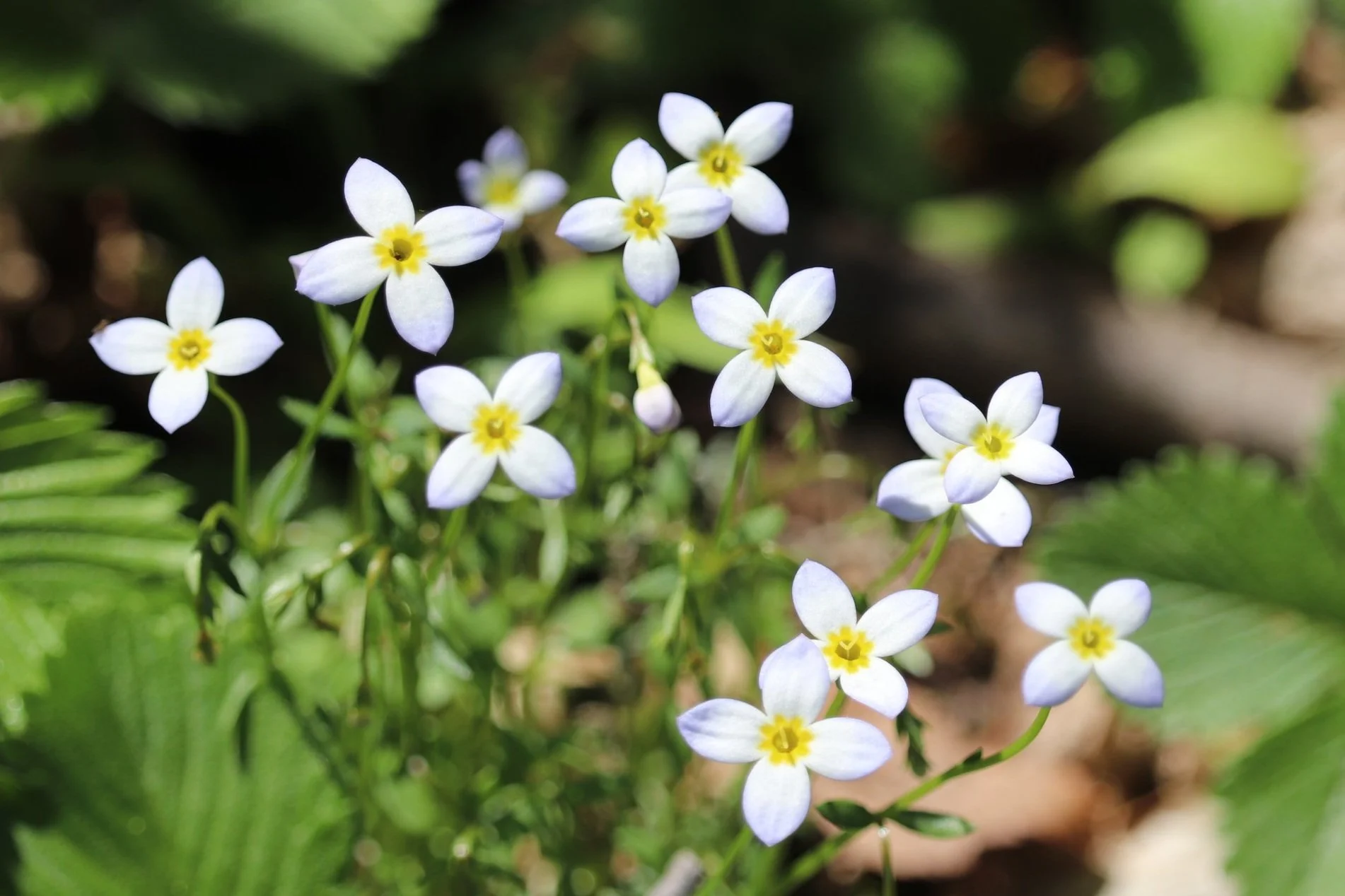 Outdoor Rec 413 — Berkshire Magazine