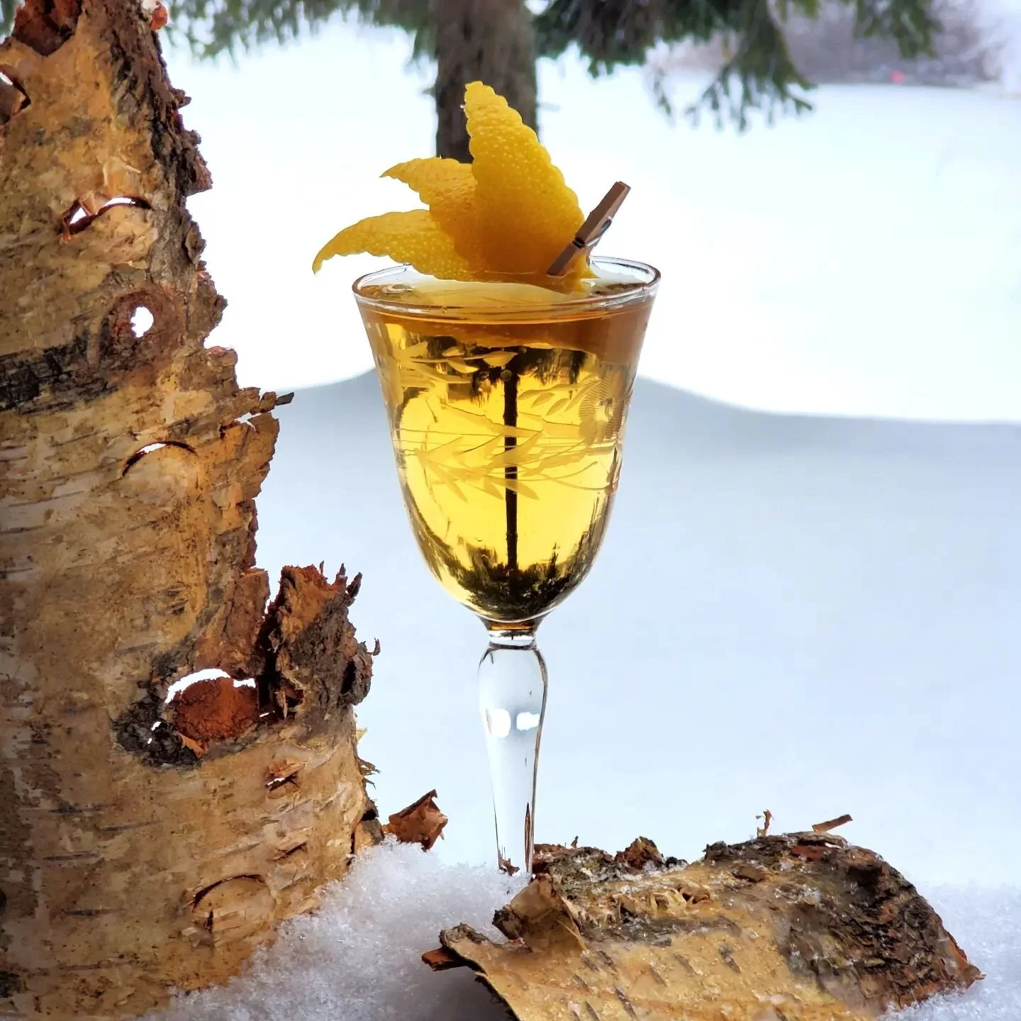 Brandon Timm | Author Page