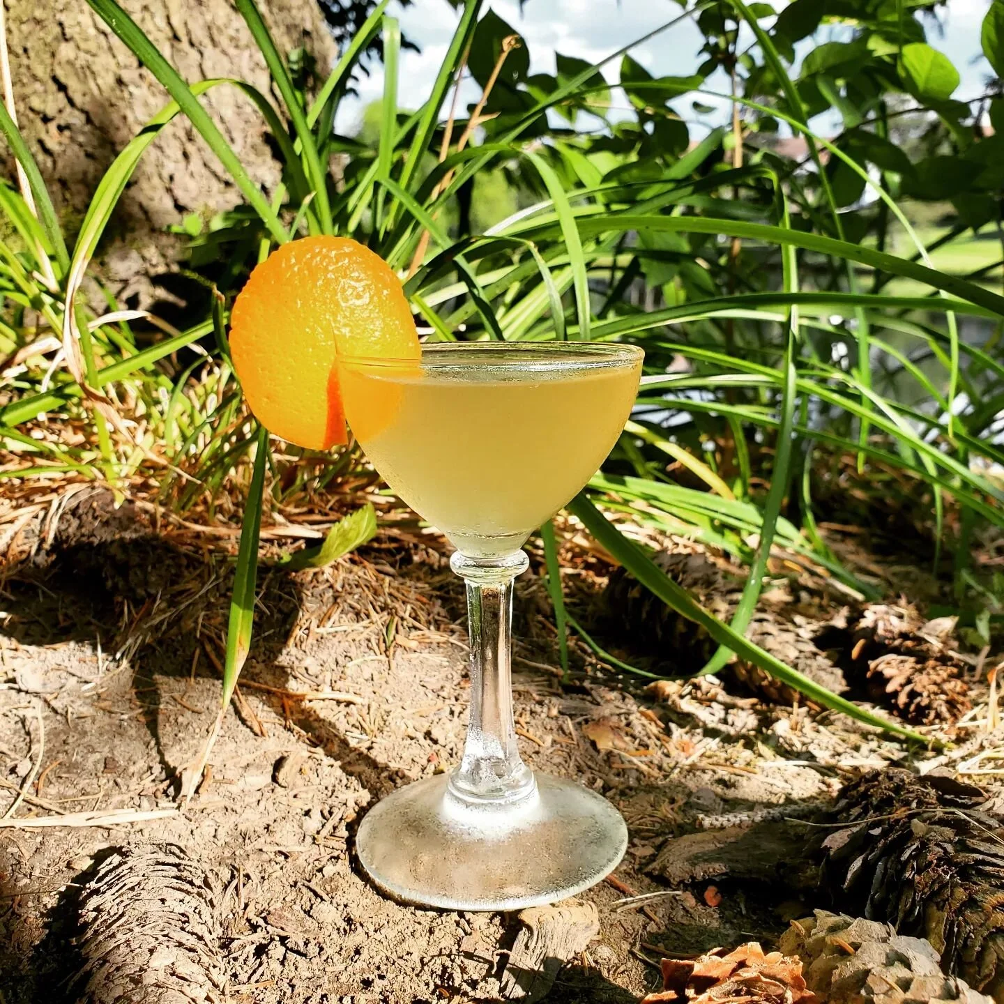 Brandon Timm | Author Page