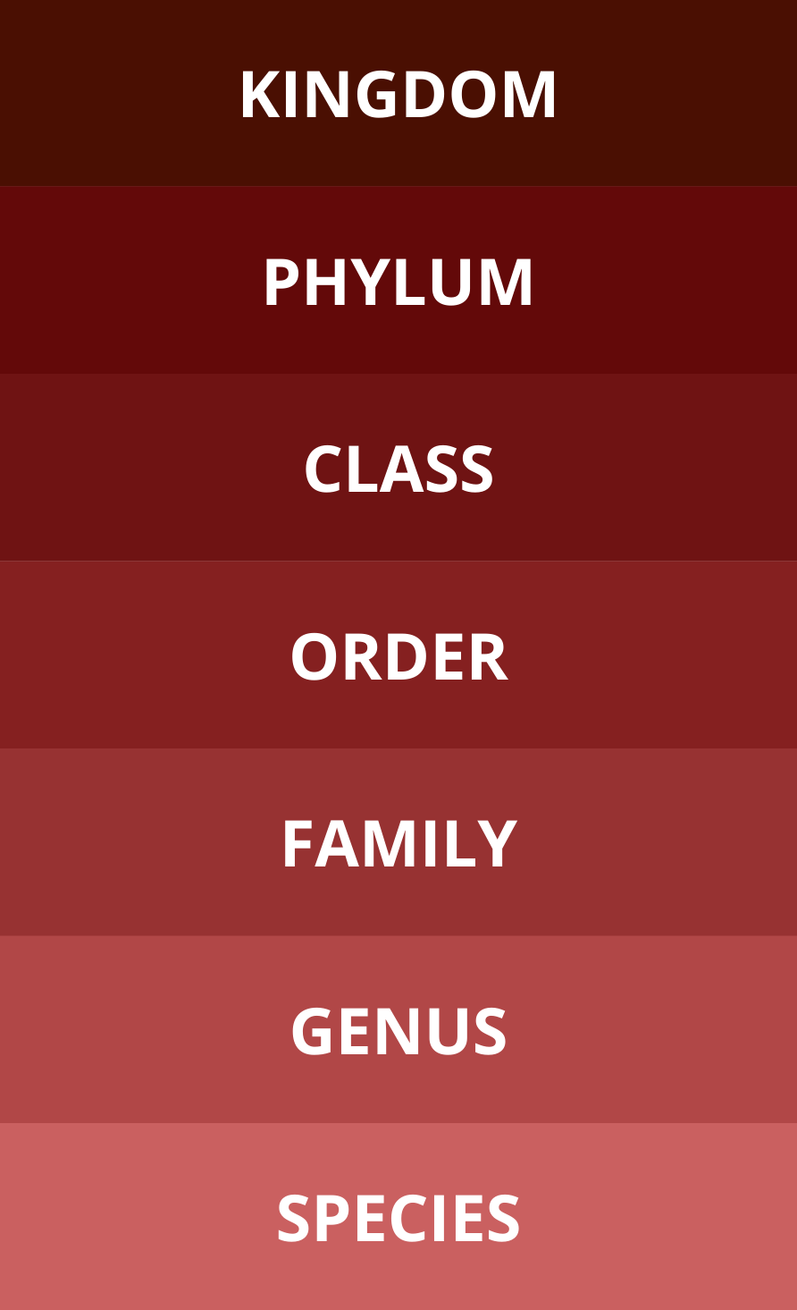 IMPERIAL TAXONOMY — Center for Plants & Culture