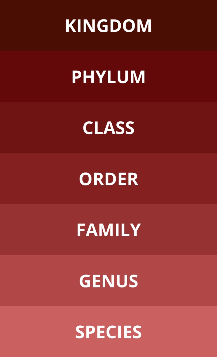 IMPERIAL TAXONOMY — Center for Plants & Culture