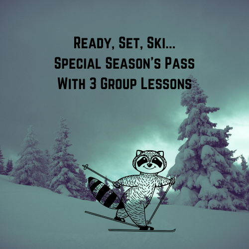 Lessons — CARTER'S XC SKI CENTER