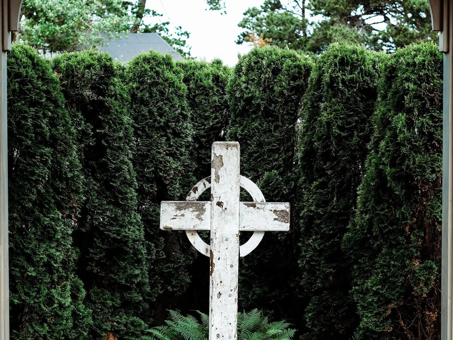 God’s Hedge of Protection — Kerry Shook Ministries