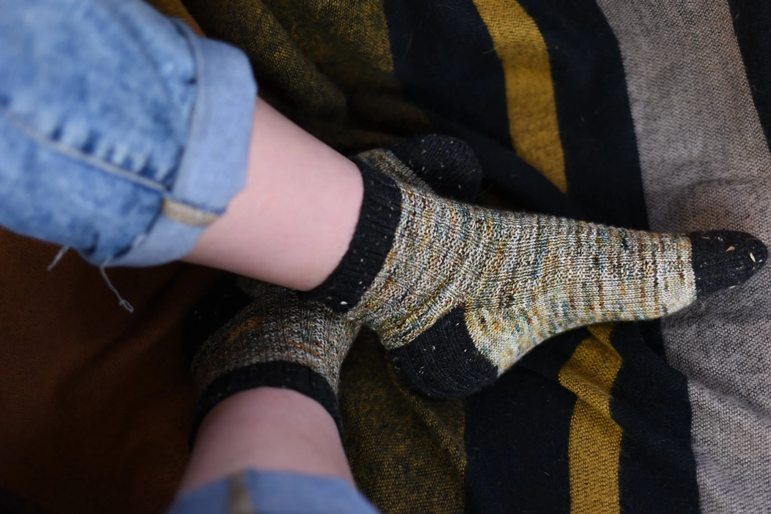 Ocean Drive Socks — PIP & PIN