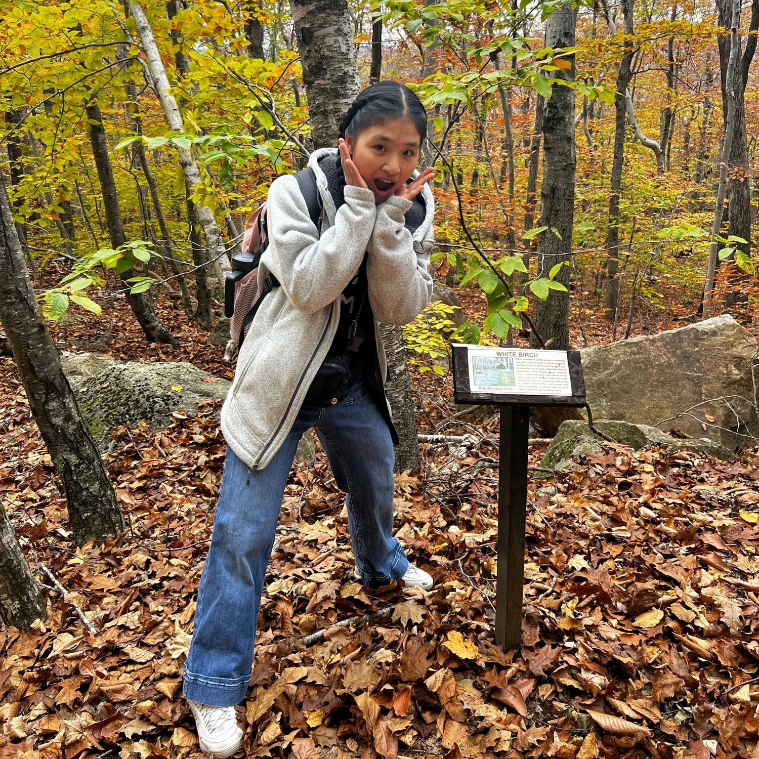 People — C. Yao Lai- Princeton University