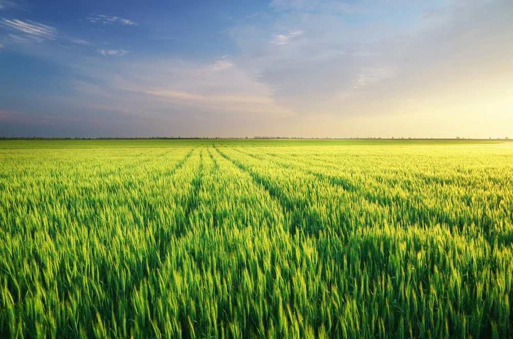 Farm Trade Australia