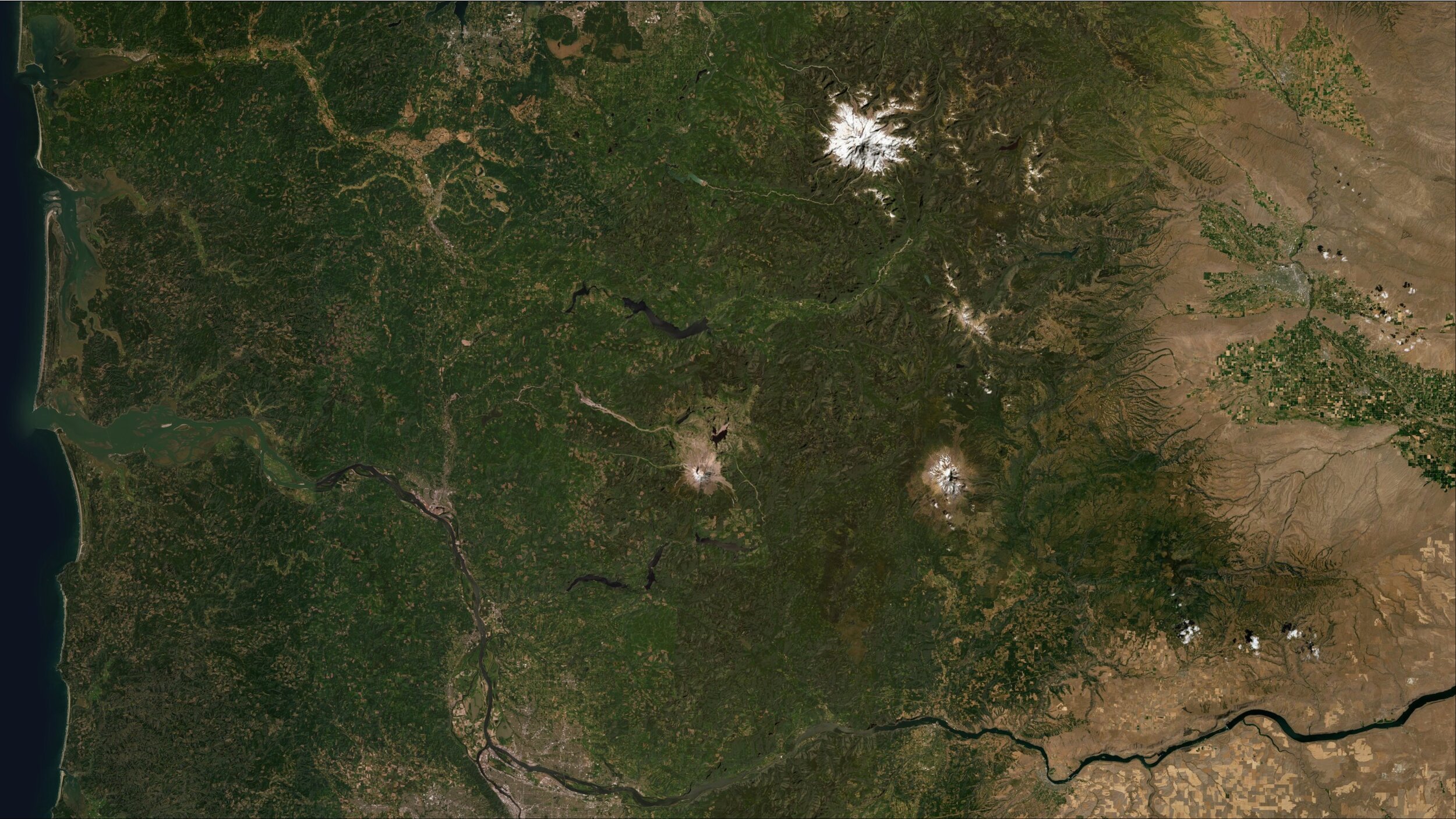 The Instream Wood Bank Network