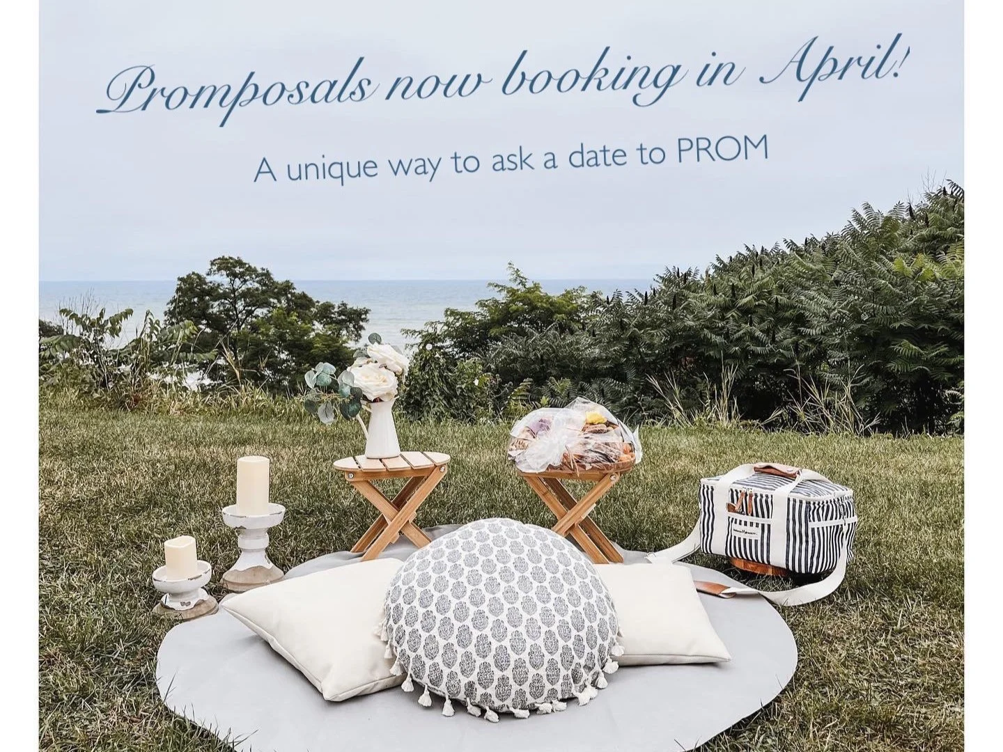 Picnic Packages — The Packed Picnic Company