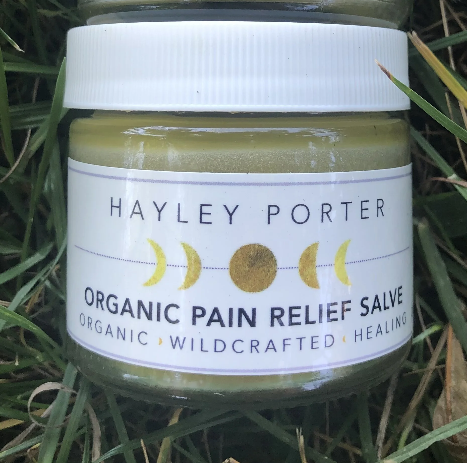 Analyses & Courses — Hayley Porter