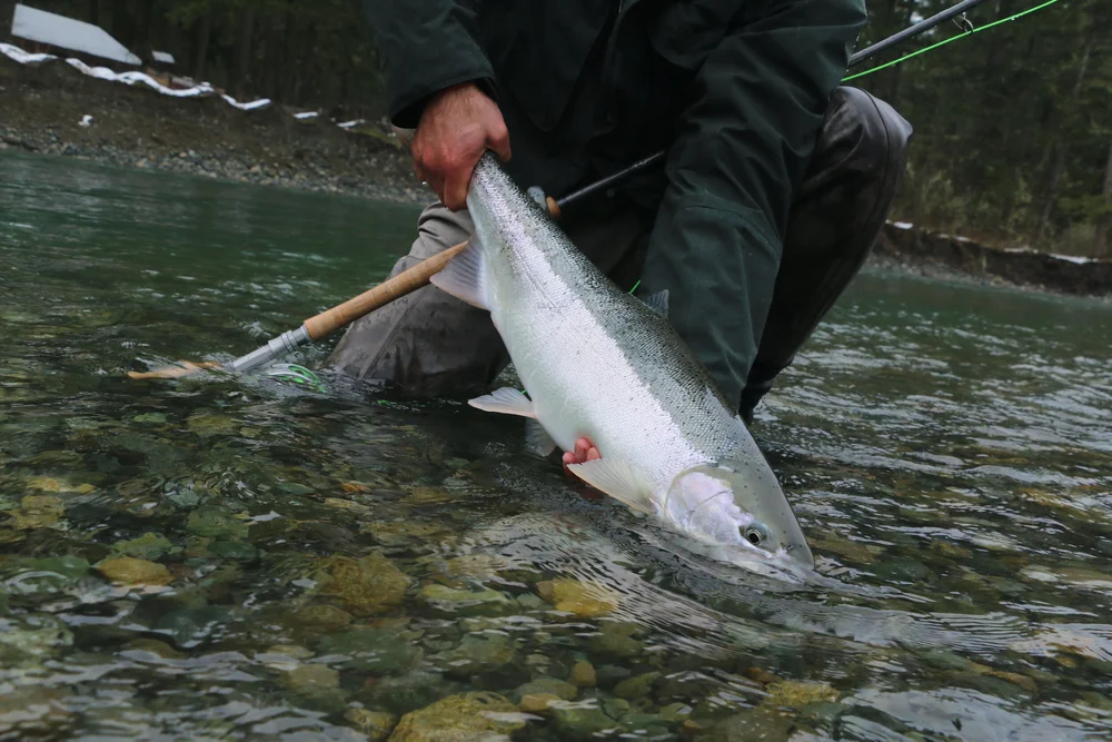 Fishing The Cowichan River — BC On The Fly Adventures