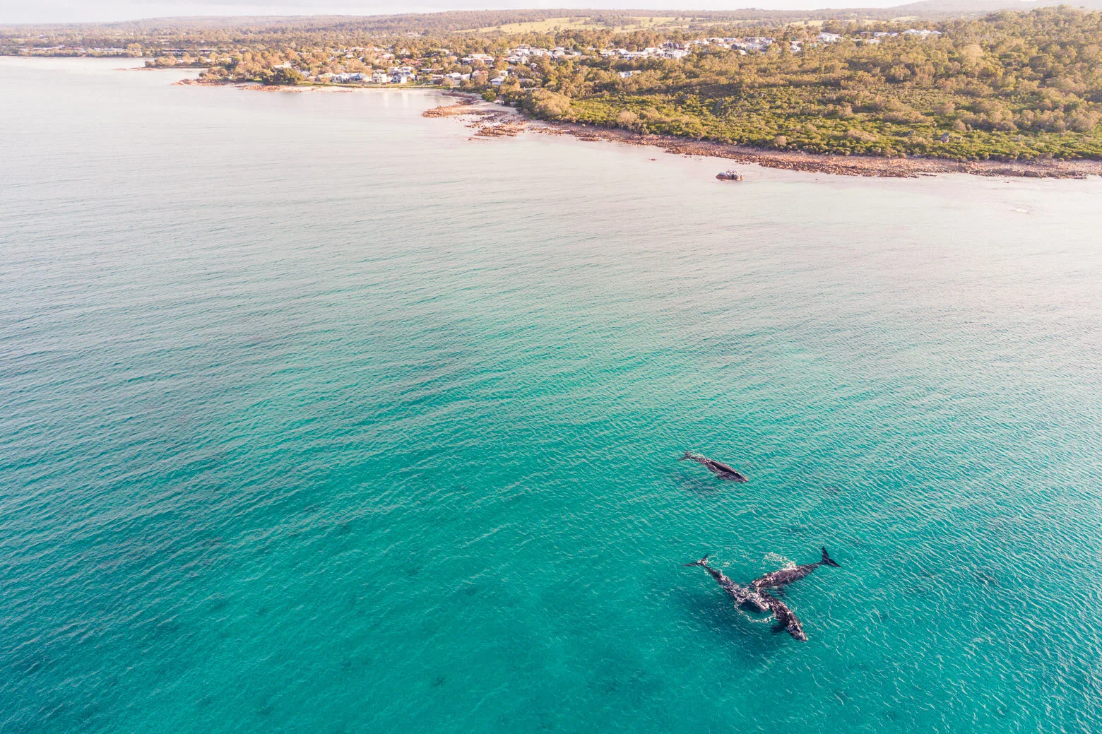 Short Stay Holiday Accommodation | South West, Western Australia ...