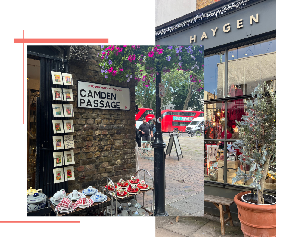 Local Spotlight #22 - Haygen Homeware — Prime Backpackers