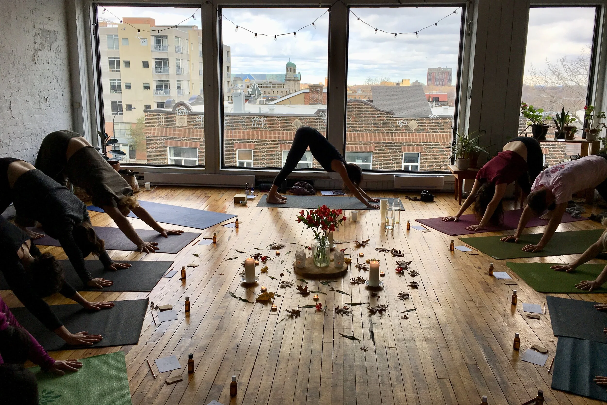 projectvivant — JENNIFER CLOUTIER