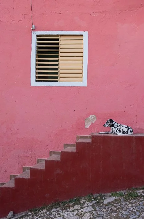 Fine Art prints — JENNIFER CLOUTIER