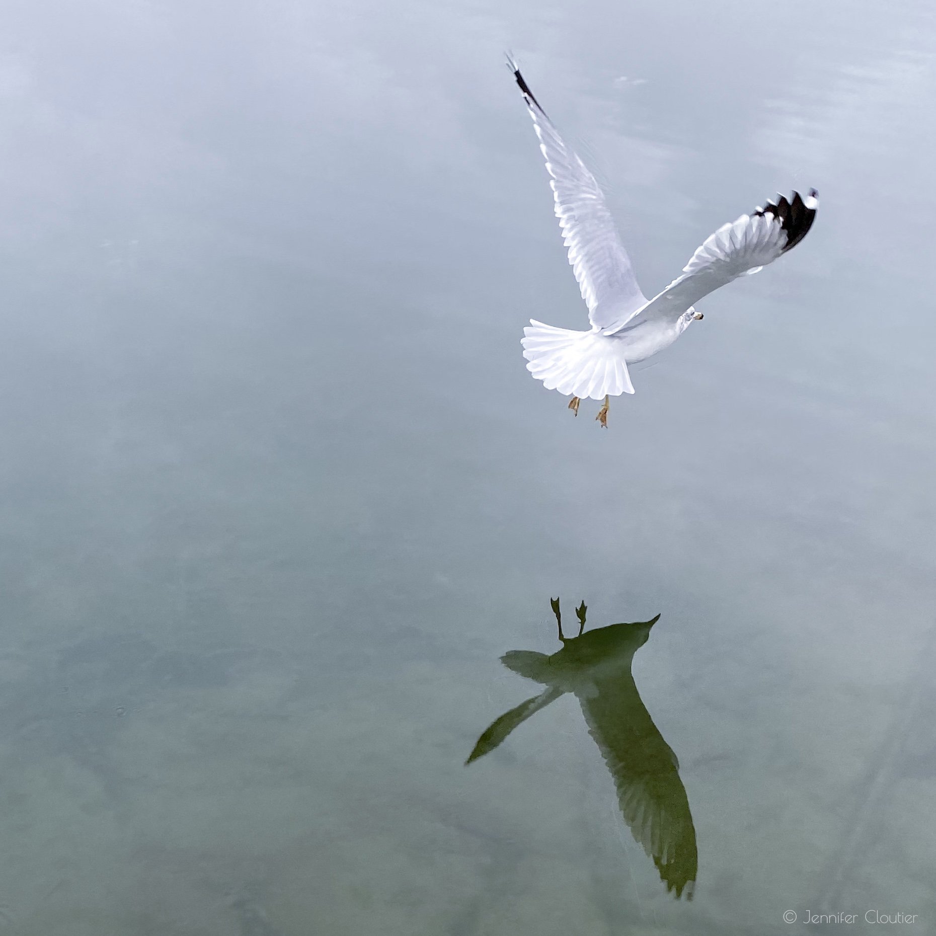 POEM ART POSTERS — JENNIFER CLOUTIER