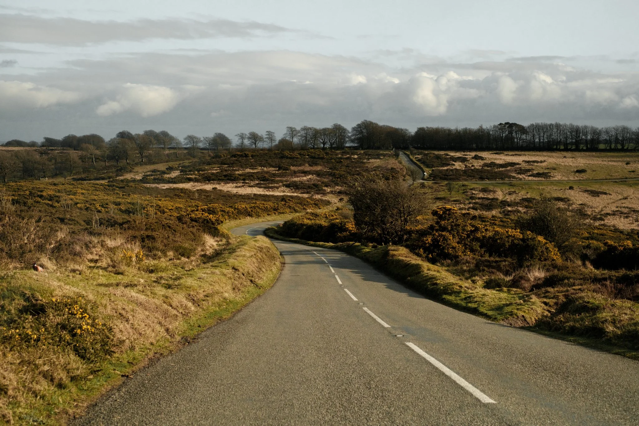 Exmoor Walks — Rest + Wild