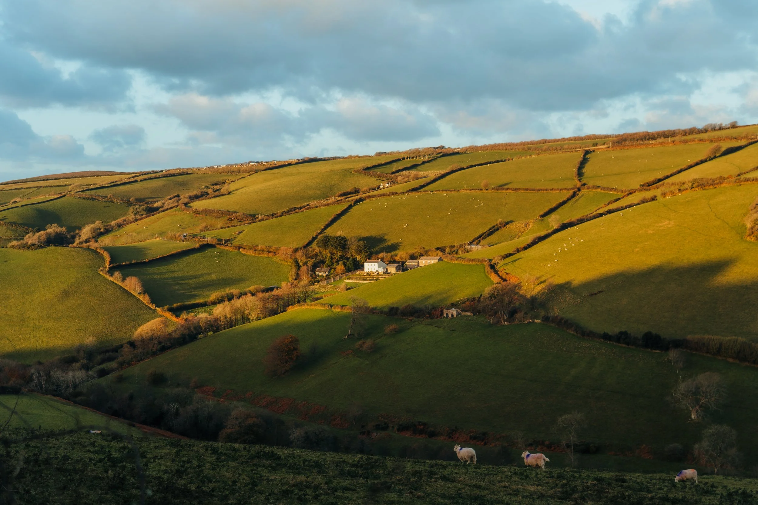 Book Your Cabin (Exmoor) — Rest + Wild