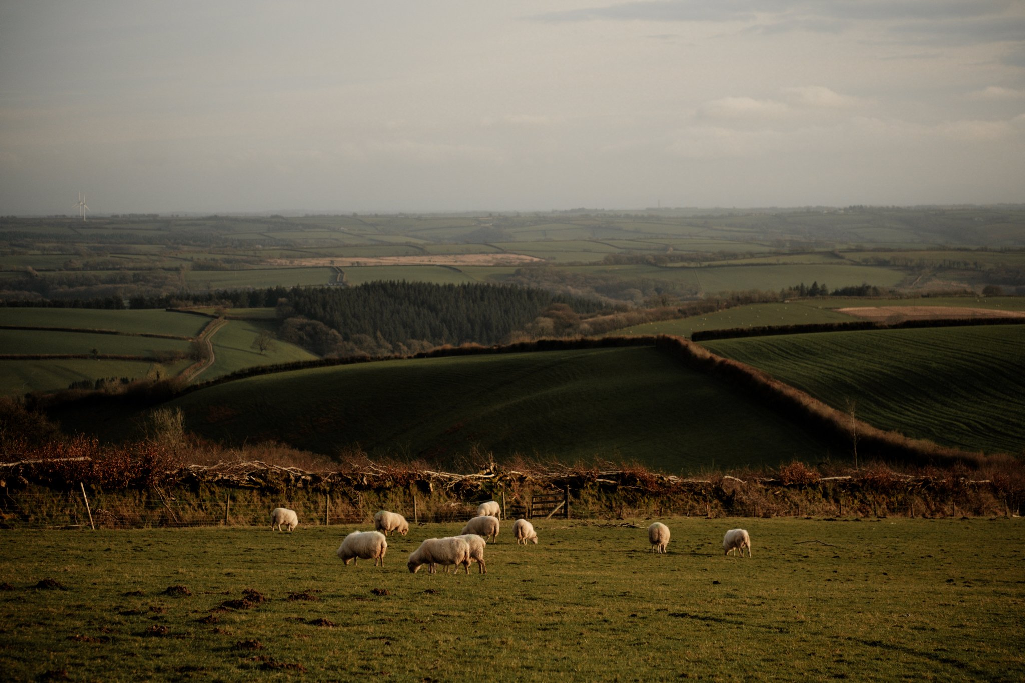 Exmoor Walks — Rest + Wild