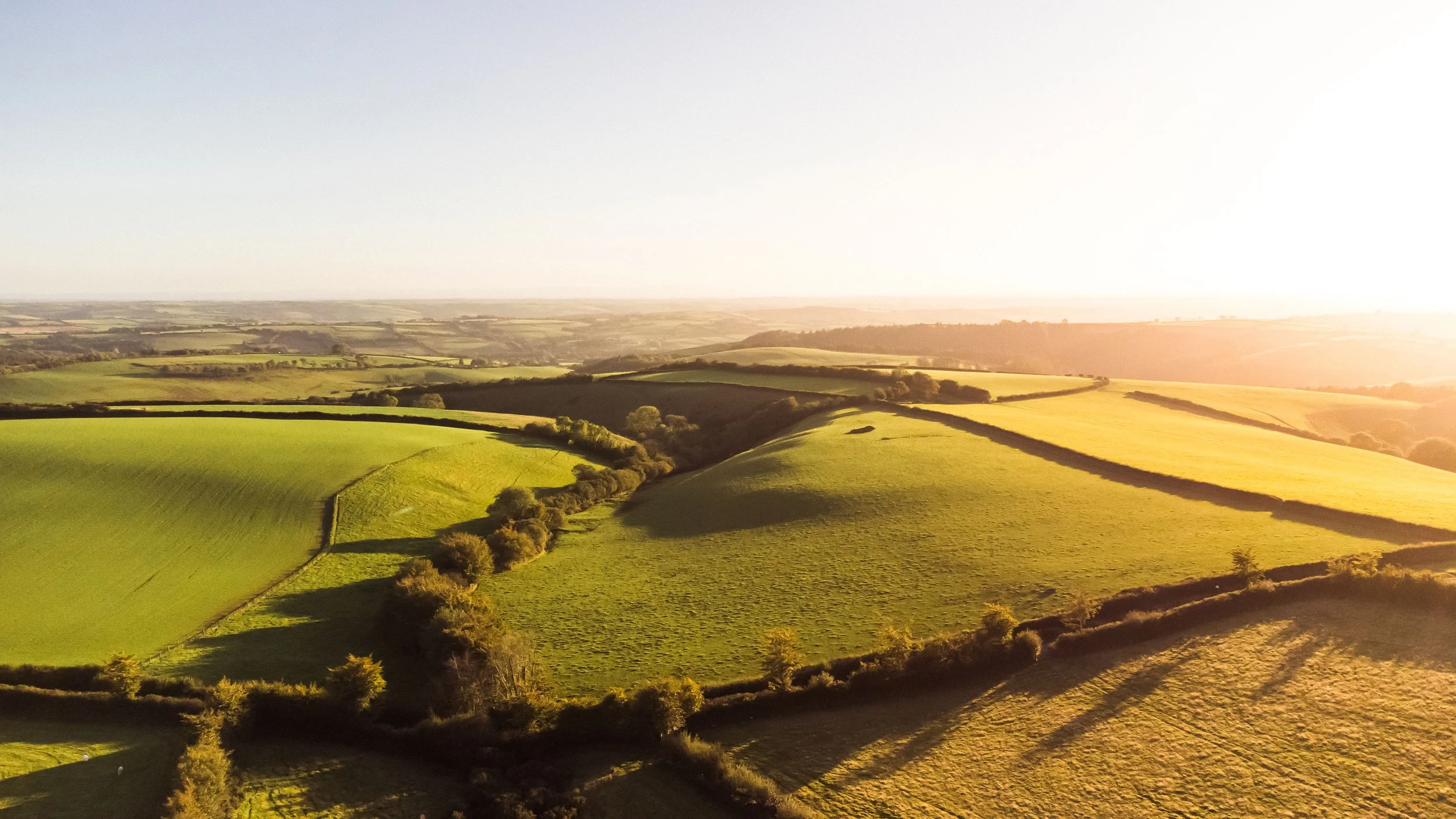 Exmoor Walks — Rest + Wild