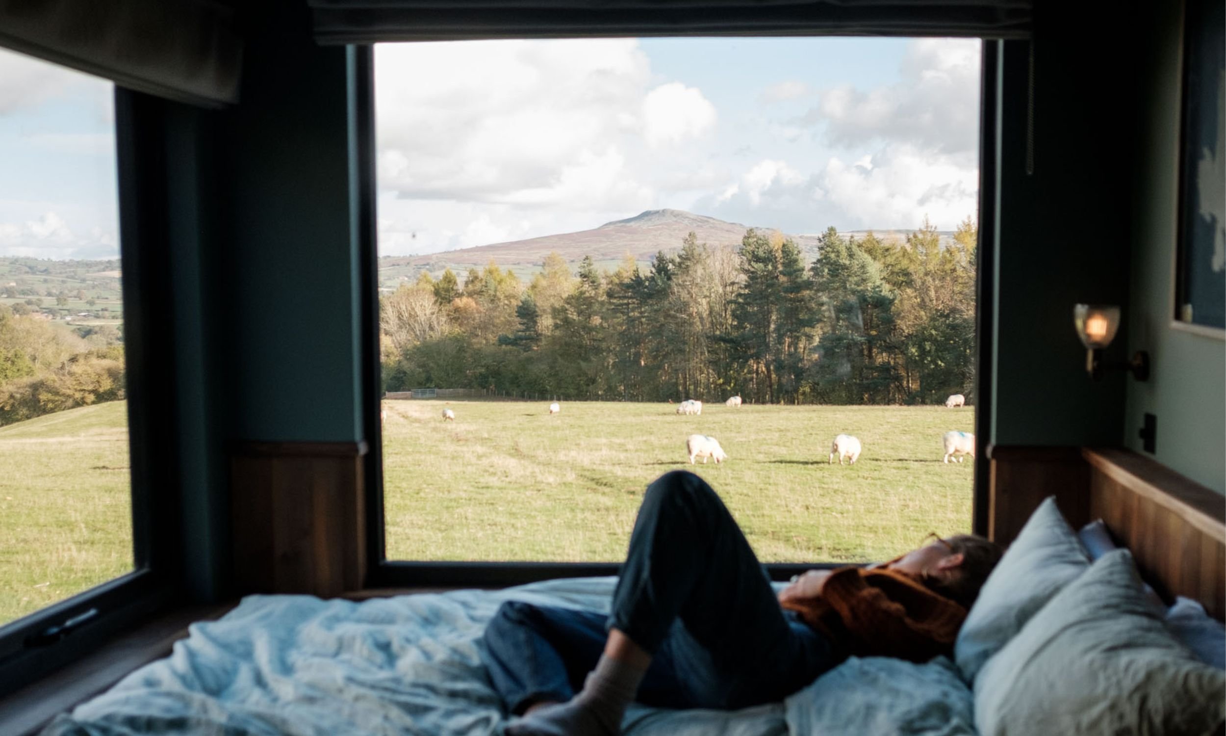 Rest + Wild - Cabins with unbeatable views