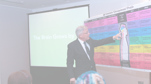 Doman International® Official Website