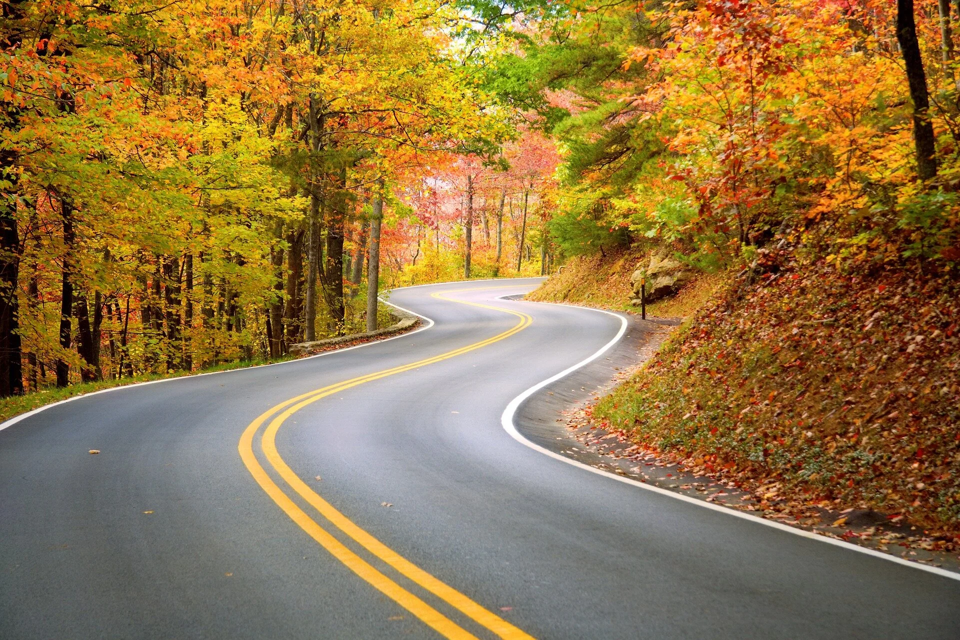 Is Your Life s Journey A Winding Road This Will Help Find Your Purpose Is Your Life s Journey A Winding Road This Will Help Find Your Purpose
