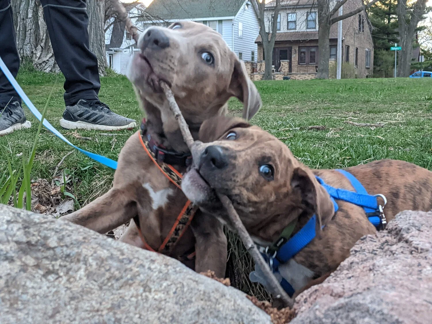 Forward Legal - Divorce Attorneys & Family Law in Madison, WI