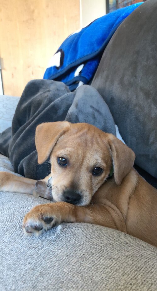 Forward Legal - Divorce Attorneys & Family Law in Madison, WI